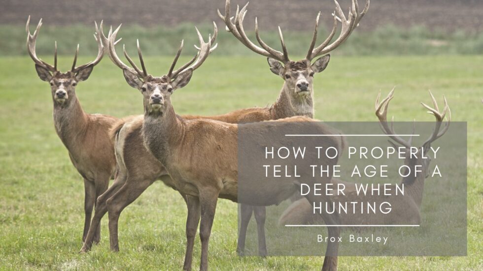 How to Properly Tell the Age of a Deer When Hunting | Brox Baxley | Hunting